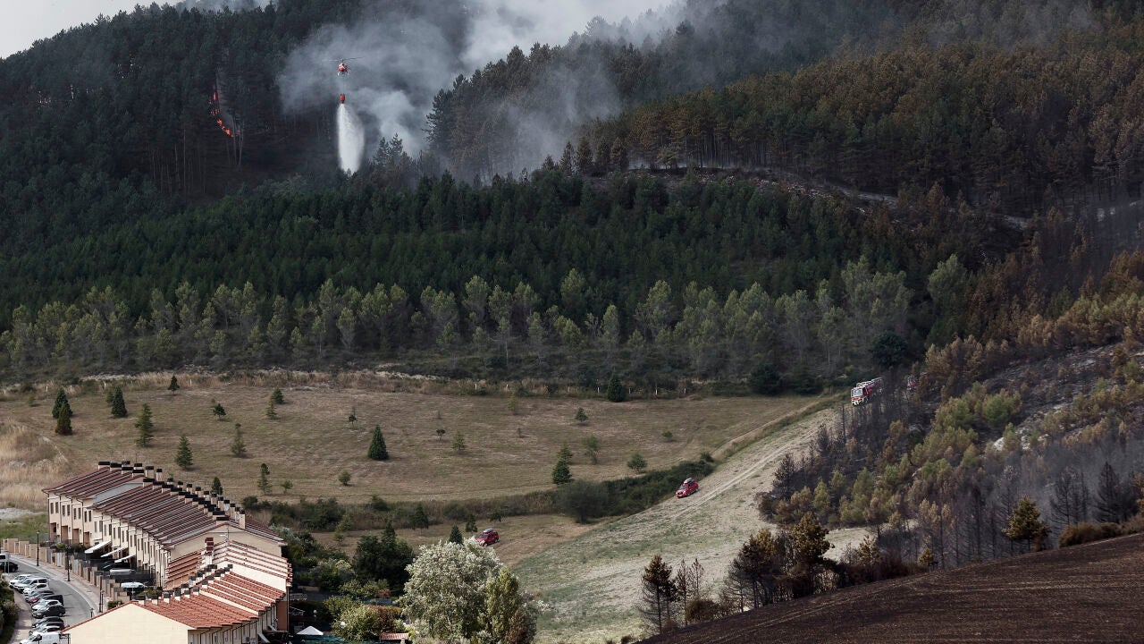 El incendio de Olloki se da por estabilizado tras quemar 70 hectáreas