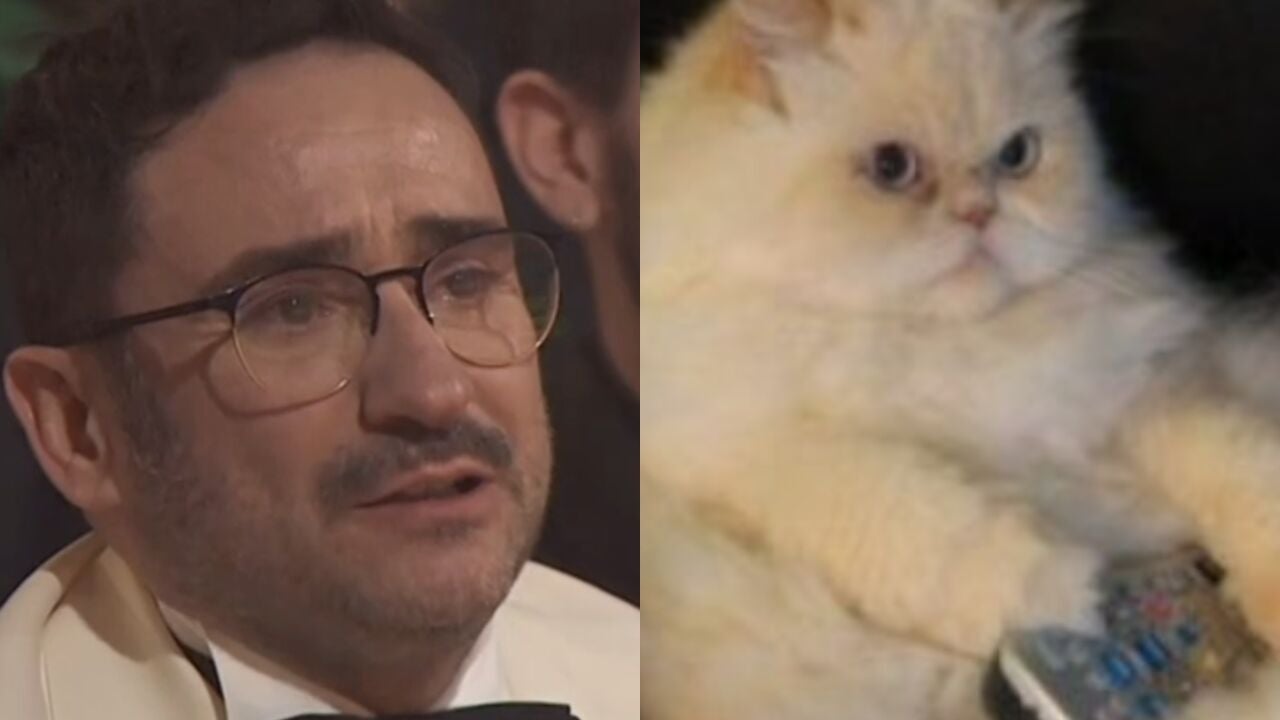 Los mejores memes de los Premios Goya 2024