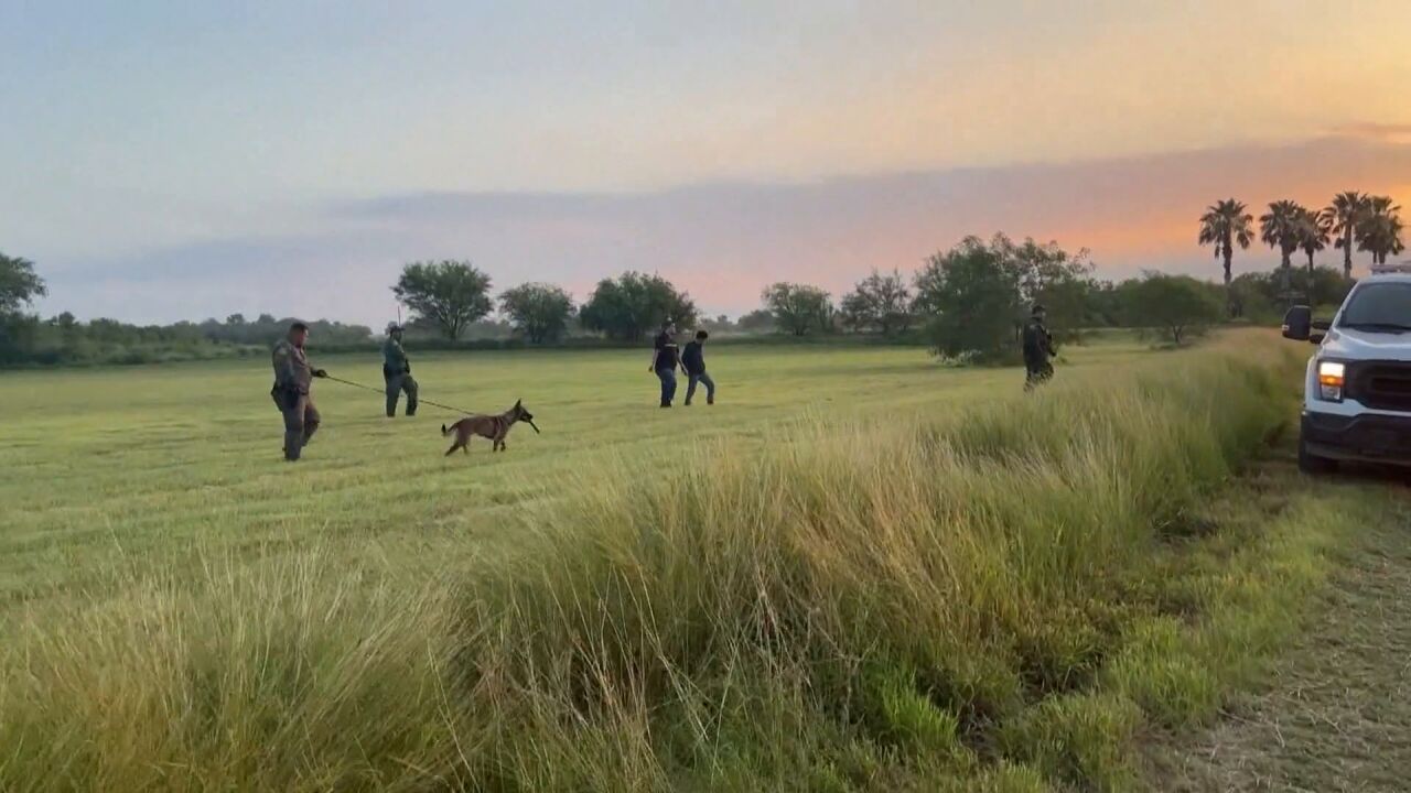 Drones y perros para capturar a los inmigrantes que tratan de cruzar la ...