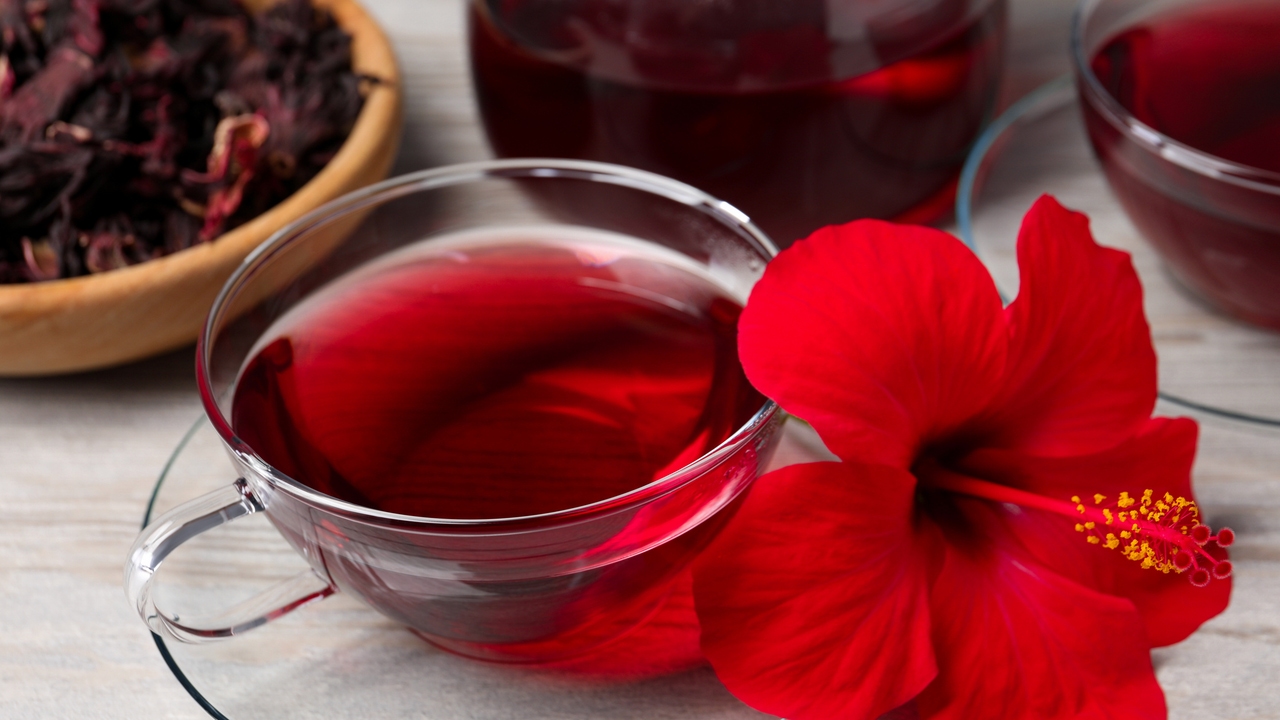 T De Hibisco Ideal Para El Desayuno Estas Son Sus Propiedades t-de-hibisco-ideal-para-el-desayuno-estas-son-sus-propiedades