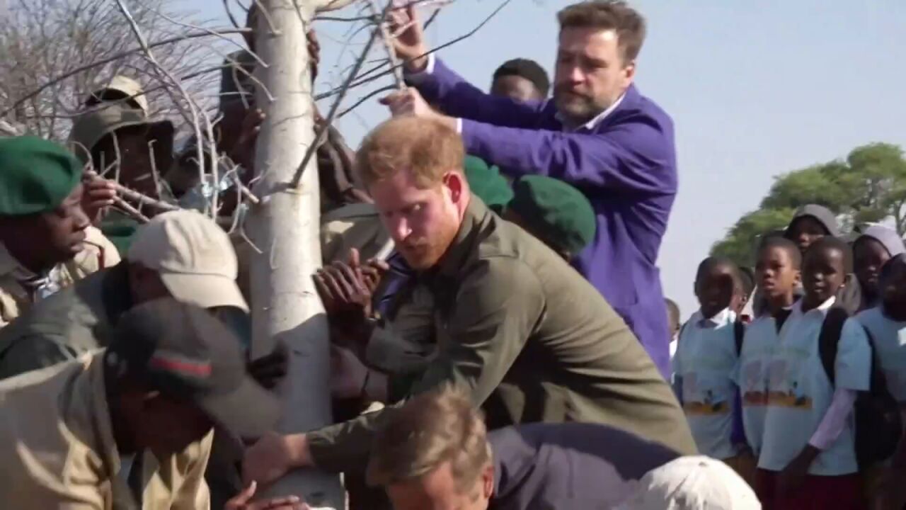 El príncipe Harry, denunciado por "acoso e intimidación" por la ...