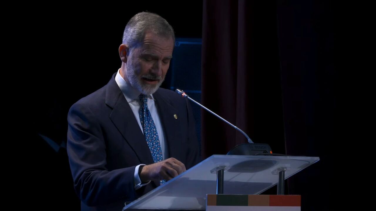 El Rey Felipe VI llama a la unión de la RAE y el Cervantes "en tiempos ...