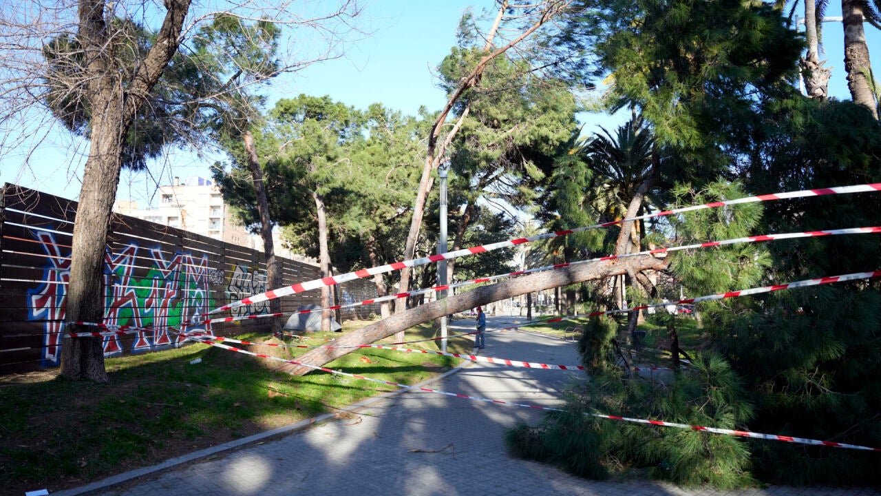 La borrasca Nils deja 5 heridos graves, 112 vuelos cancelados ...